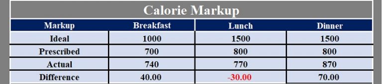 Download Food Calorie Calculator With Monthly Calorie Log Excel ...