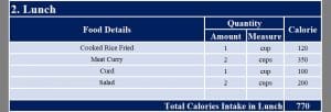 Download Food Calorie Calculator With Monthly Calorie Log Excel ...