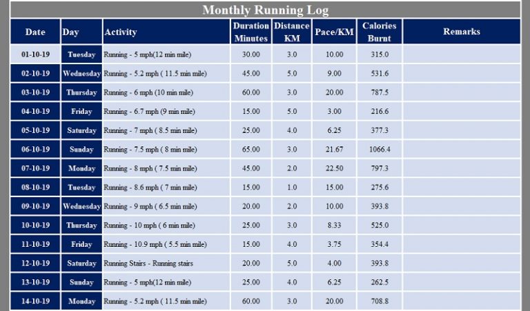 Download Monthly Running Log With Charts Excel Template - ExcelDataPro Download Monthly Running Log With Charts Excel Template - ExcelDataPro