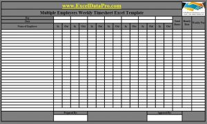 Download Multiple Employees Weekly Timesheet Excel Template - ExcelDataPro