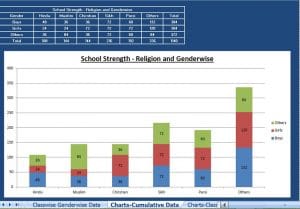 Download School Statistical Register Excel Template - ExcelDataPro