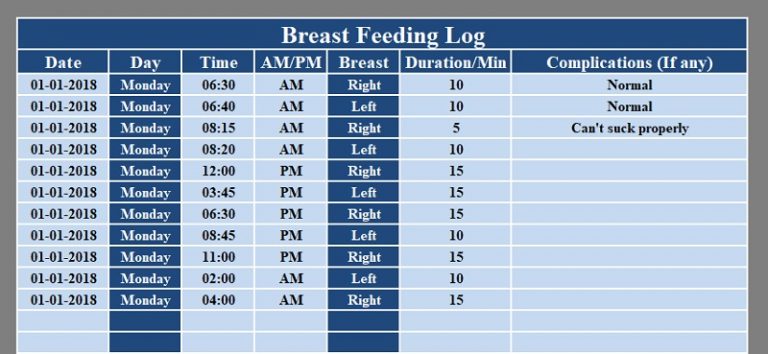 Download Breastfeeding Log With Feeding Guide Excel Template - ExcelDataPro